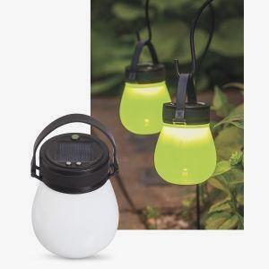 Glamorous Firefly Solar Lantern – Agilenano