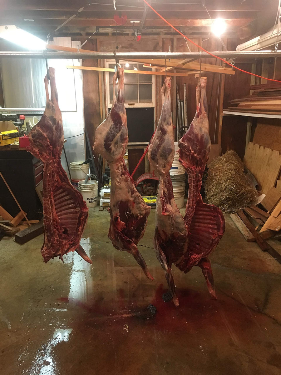 Stainless Meat Hooks, Smoker Hook, 5", 4 Pack – Agilenano